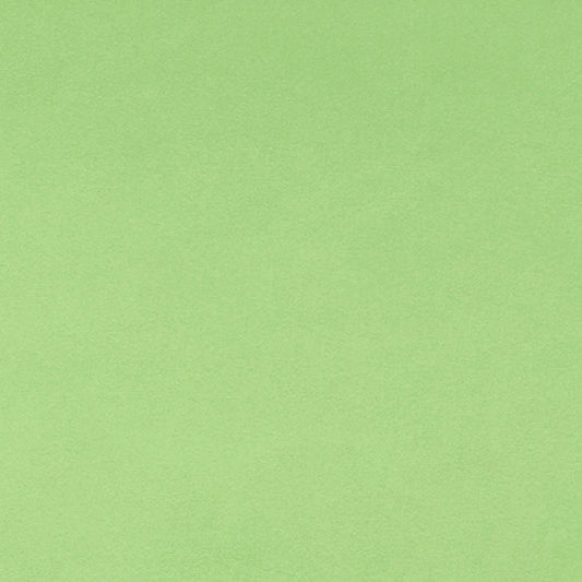 SAGE SOLID CUDDLE 3 – Calico Gals