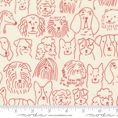 THE MANY FACES DOG DAZE – Calico Gals