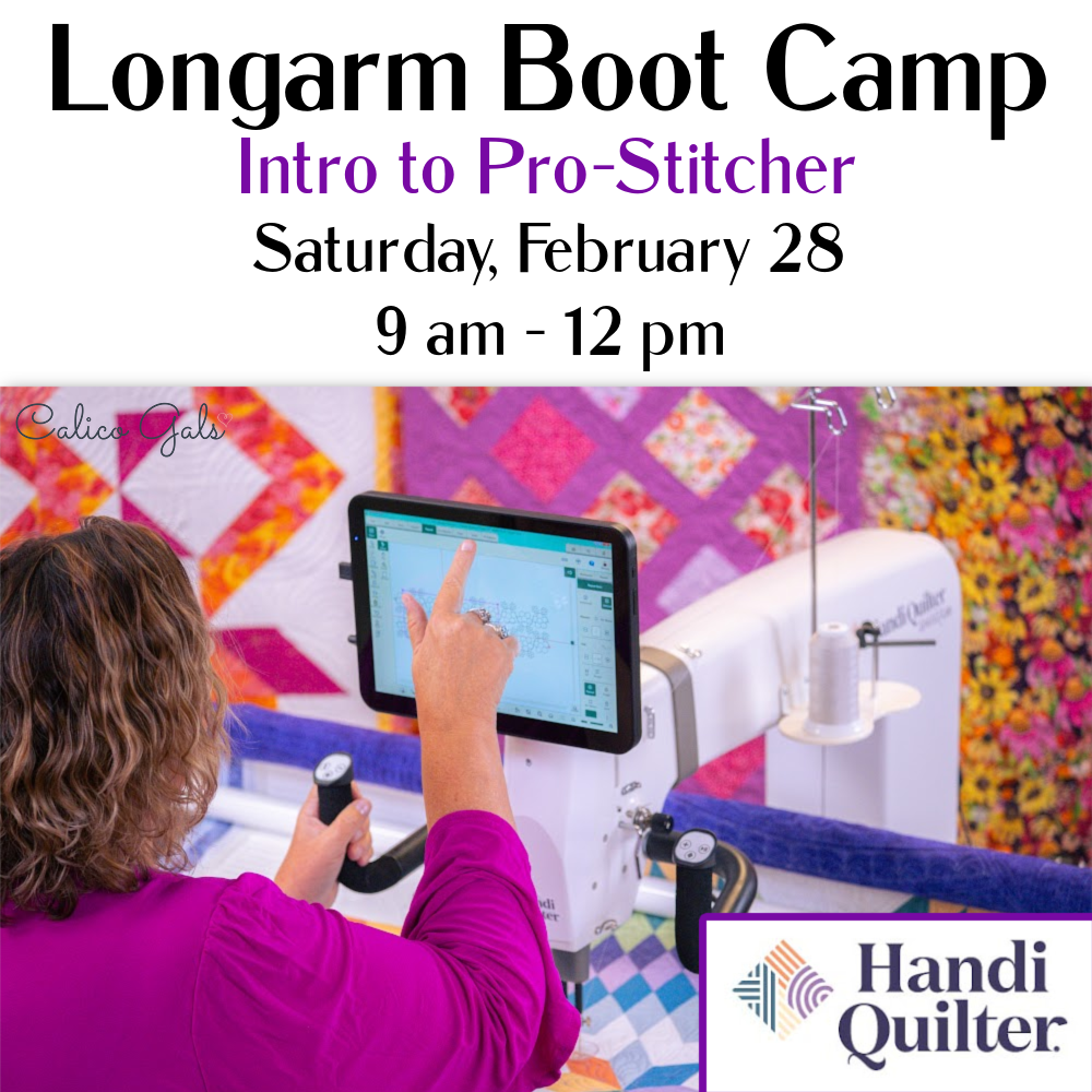 PRO-STITCHER BASICS SAT. FEB. 28 9:00 - 12:00 – Calico Gals