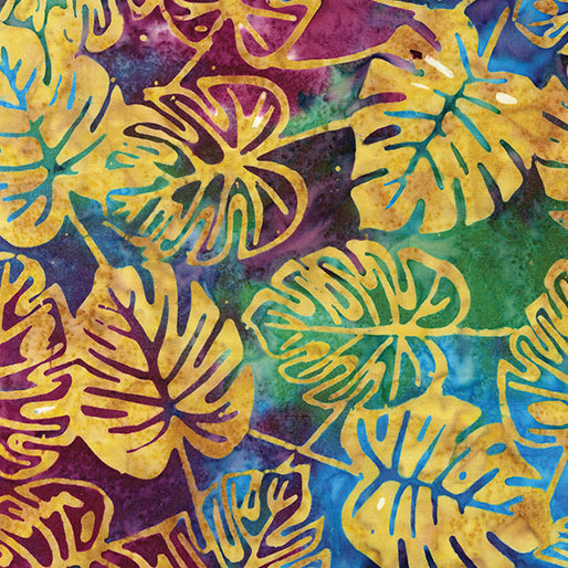 MONSTERA GOLD BALI RAINFOREST – Calico Gals